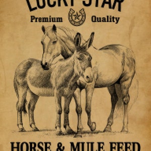 Vintage Grunge Background Farmhouse, Horse and Mule Feed Sack ...