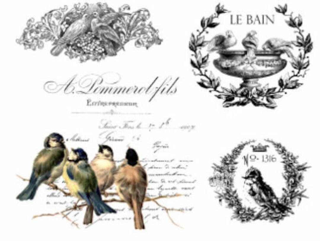 Vintage Image French Birds Labels Furniture Transfers Waterslide Decals ...
