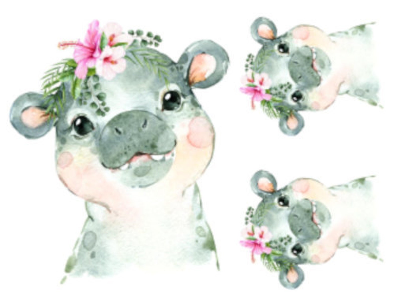 Watercolor Handpainted Baby Hippo Nursery African Animals Flowers ...