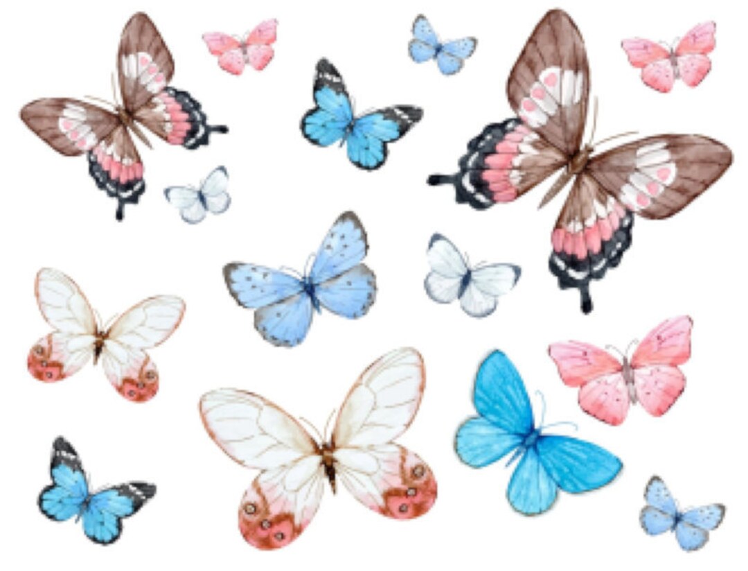 Hand Painted Shabby Watercolor Butterfly Assortment Butterflies ...