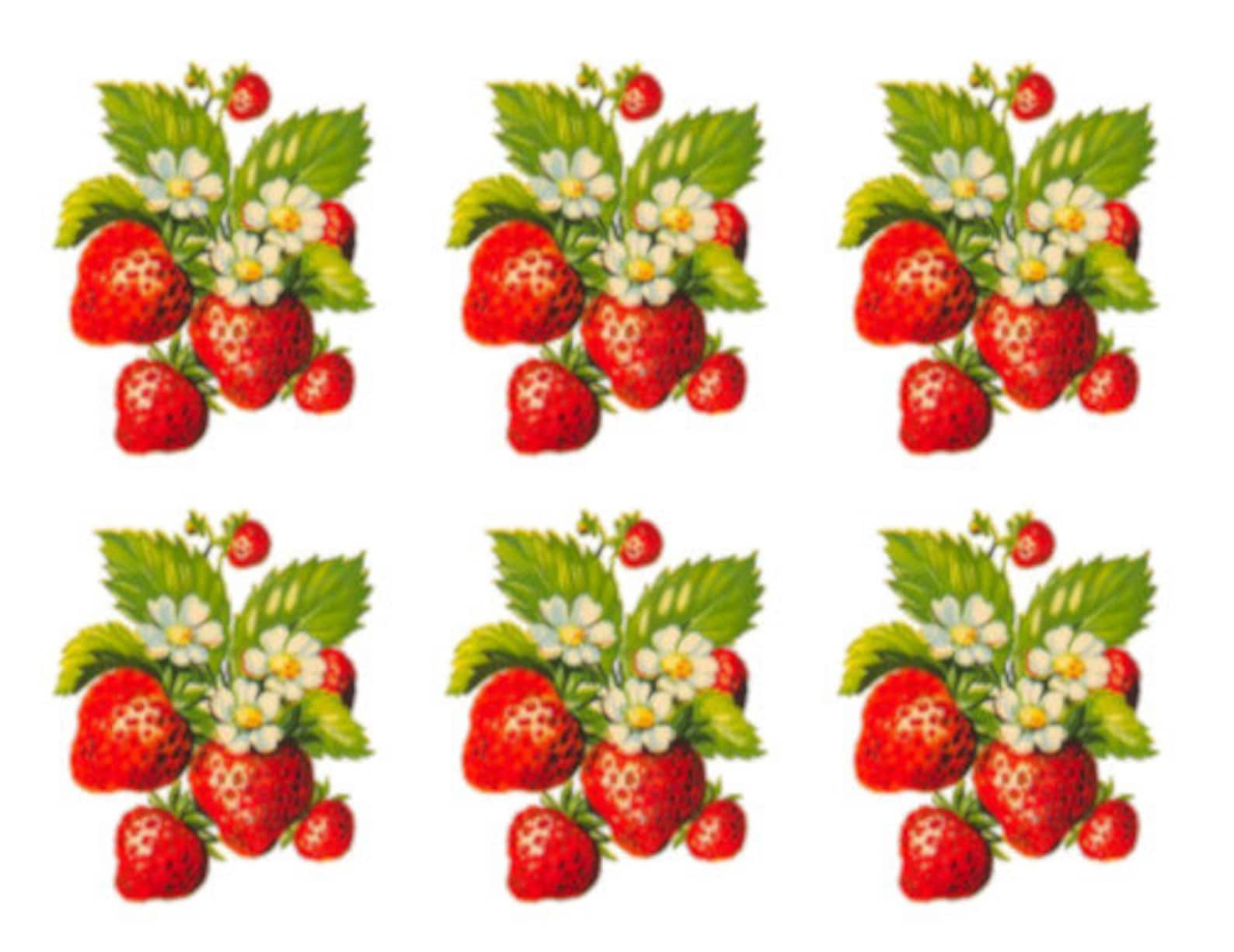 Vintage Image Retro Bunches of Strawberries Fruit Transfers - Etsy