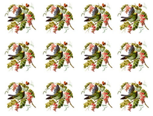 Vintage Image Victorian Bird on Flower Tree Branch Transfers - Etsy