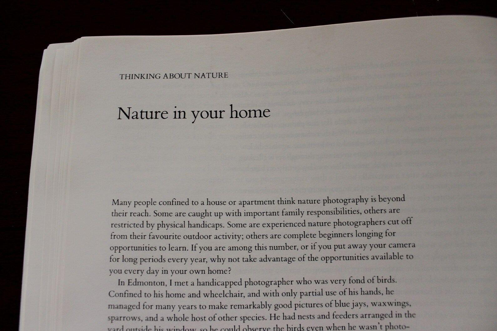 Book "photography of Natural Things" - Etsy