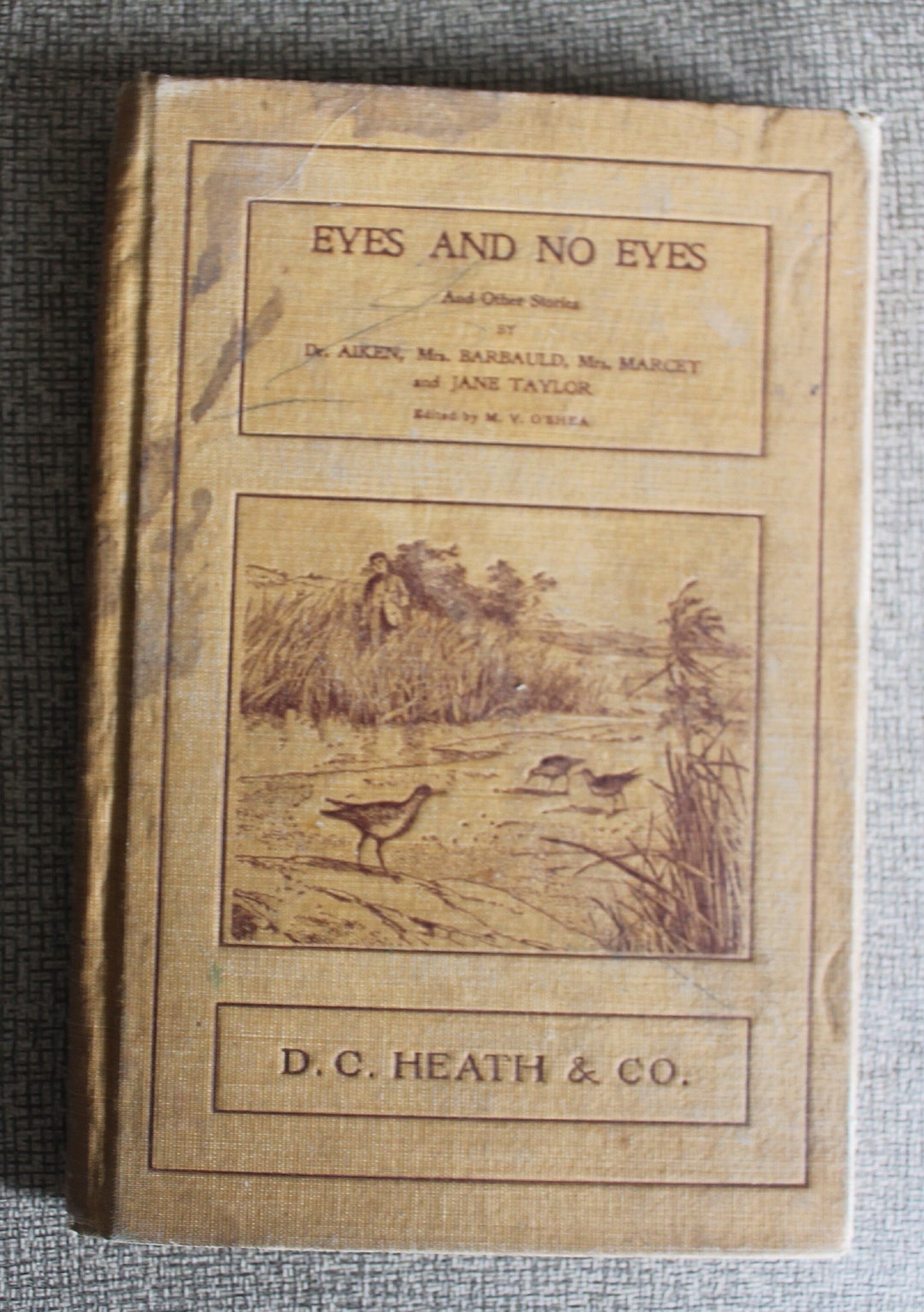 Antiquarian Children's Book eyes and No Eyes 1901 - Etsy