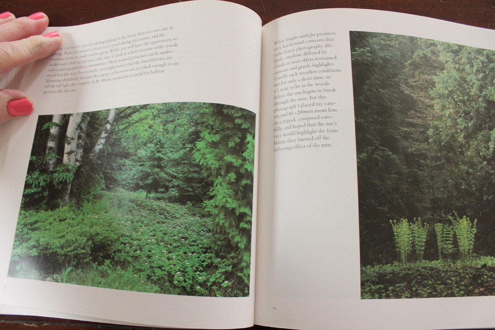Book "photography of Natural Things" - Etsy