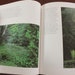 Book "photography of Natural Things" - Etsy
