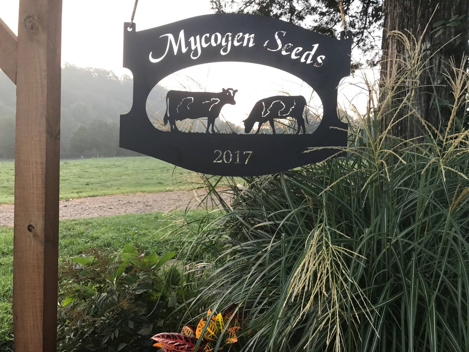 Metal Cow Sign Personalized With Your Name or Farm Name - Etsy