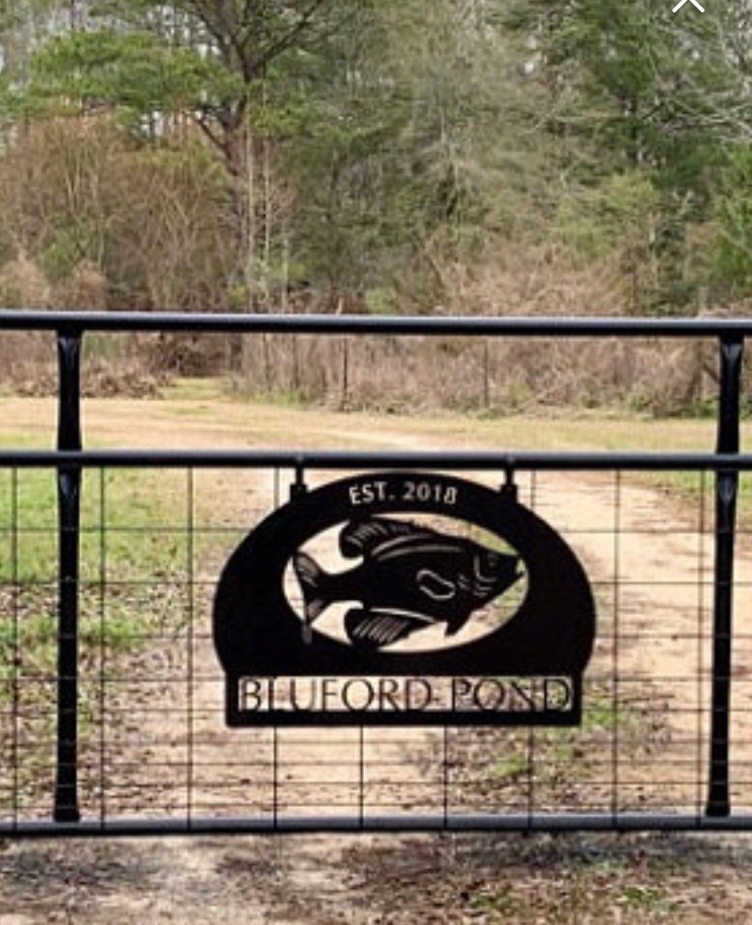 Metal Fish Sign With Crappie Fish - Etsy