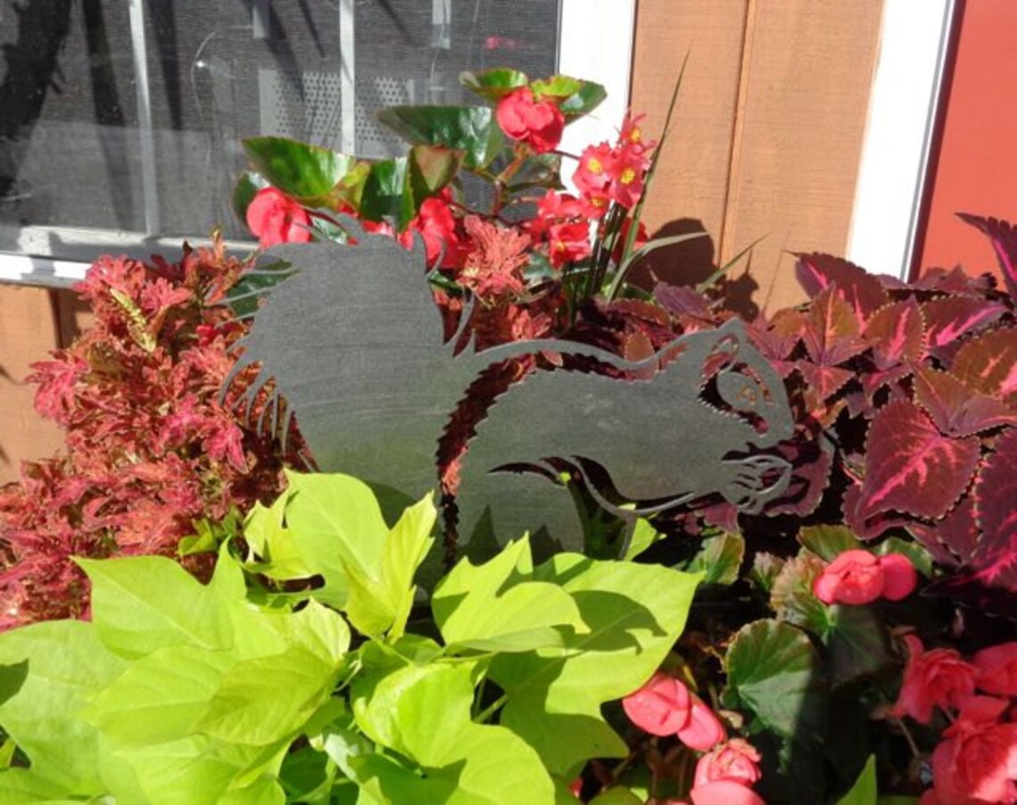 Squirrel Welcome Sign Rustic Metal - Etsy