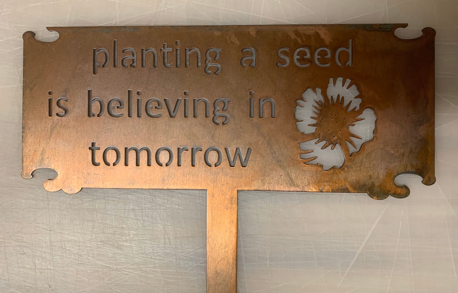 Planting a Seed is Believing in Tomorrow SIGN on Stake - Etsy