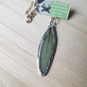 Sage Necklace, Pressed Flower Necklace, Terrarium Necklace, Herb ...
