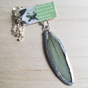 Sage Necklace, Pressed Flower Necklace, Terrarium Necklace, Herb ...