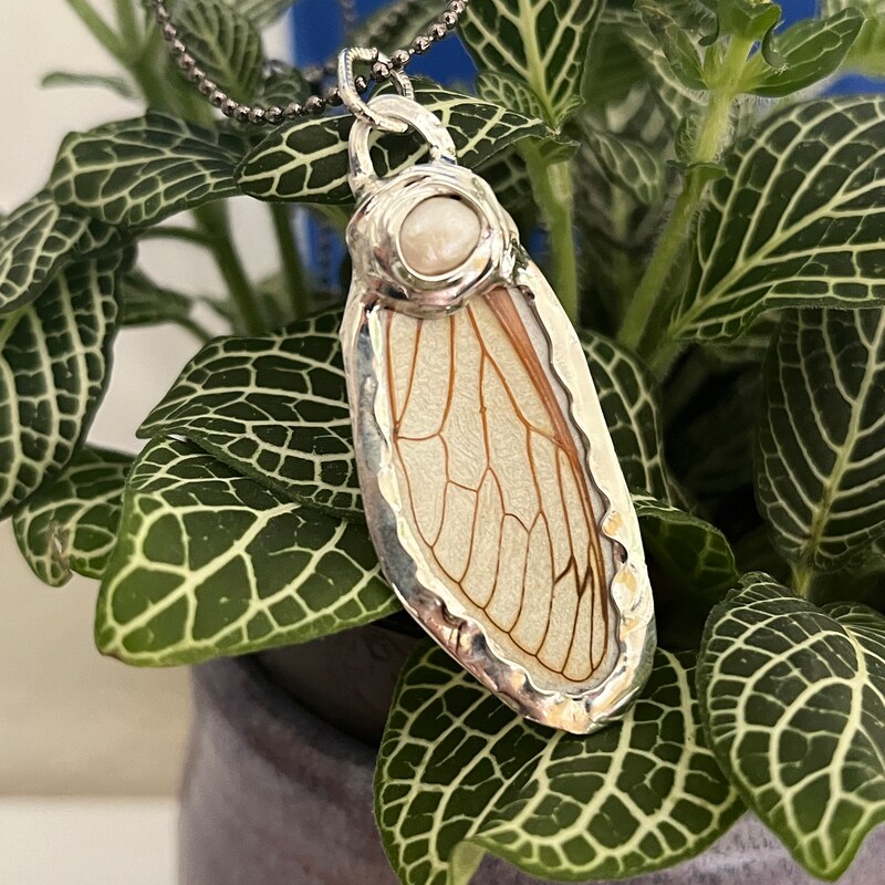 Cicada Jewelry - Etsy