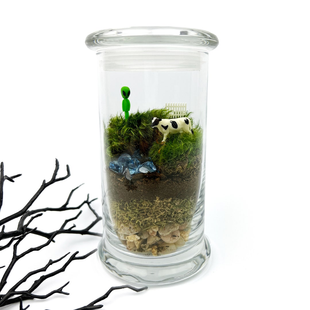 Moss Terrarium // Alien and Cow - Etsy