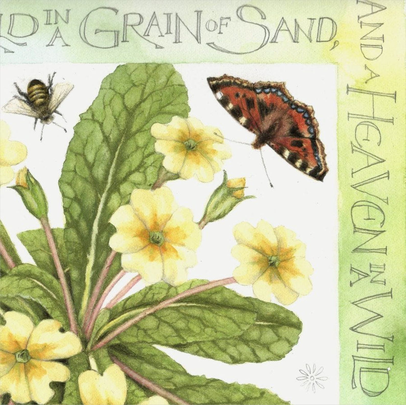 Original Watercolour | Primrose Painting | Calligraphy Poem | William ...