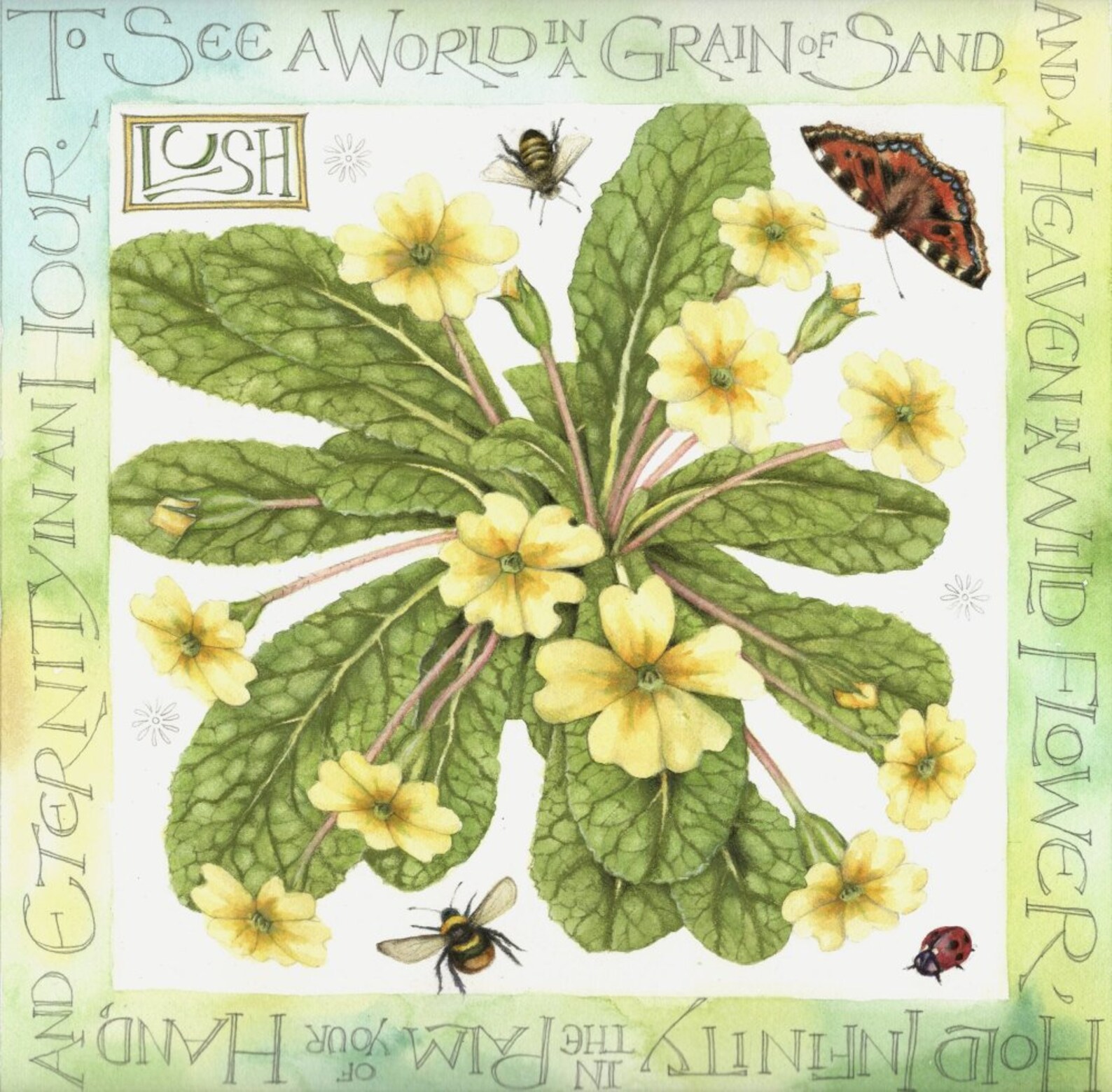 Original Watercolour | Primrose Painting | Calligraphy Poem | William ...