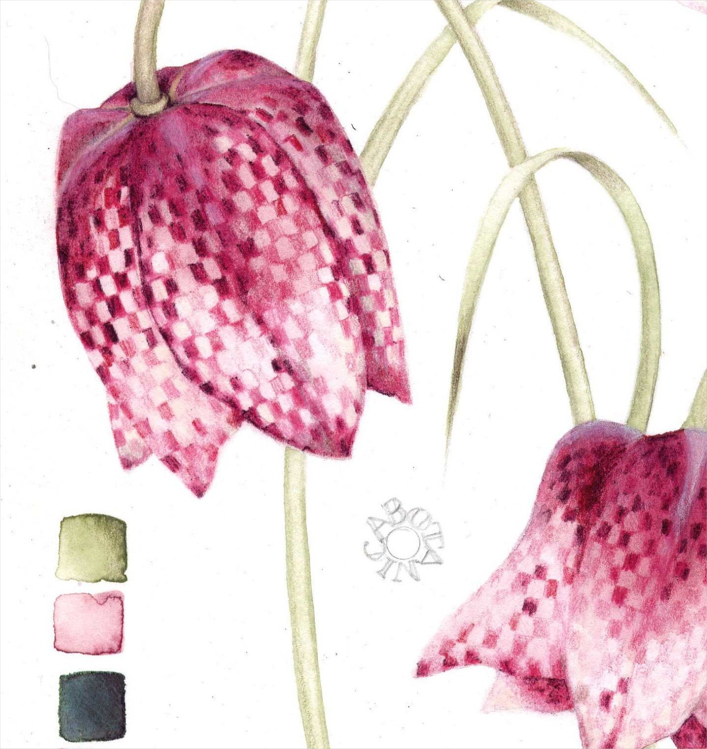 Original Watercolour Painting | Snake's Head Fritillary Flowers | 10" X ...