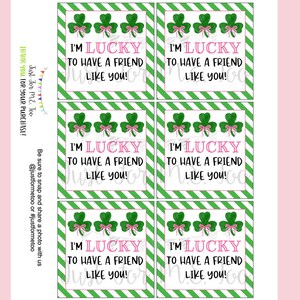 St. Patrick's Day Printable Tags, Instant Download, Lucky to Have a ...