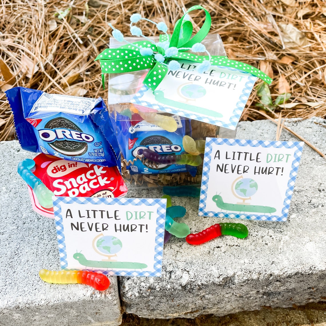 Earth Day Printable Tag Earth Day Printable Earth Day Gift - Etsy