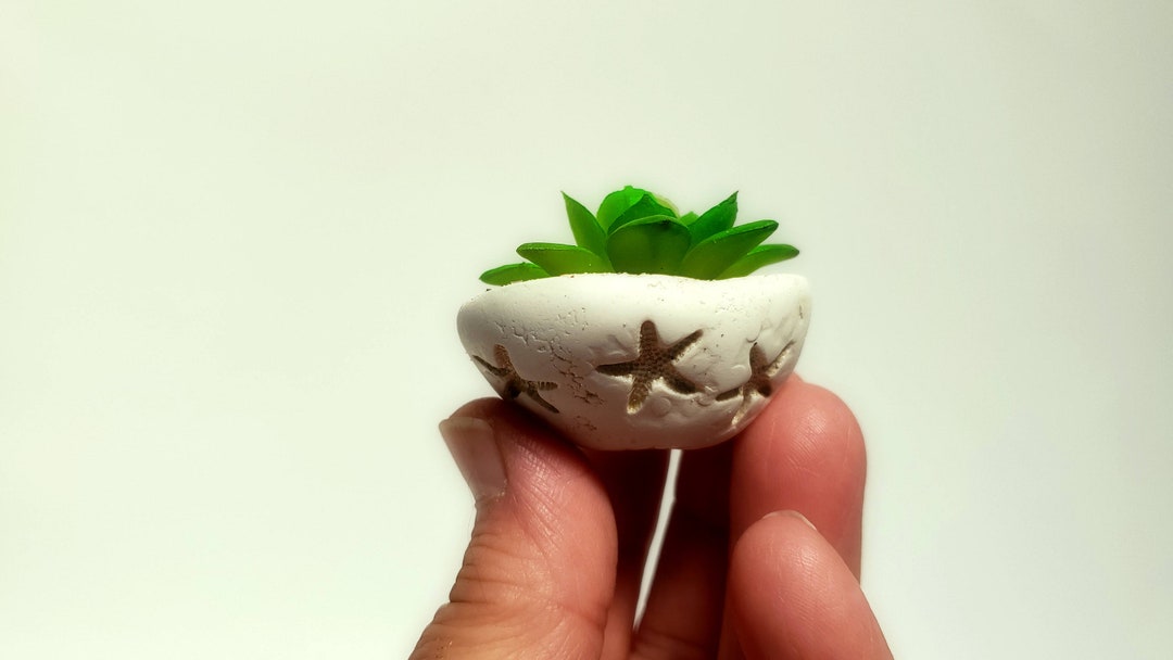 Star Fish Plant Pot - 1-3/4" Succulant Planter - Sea Creature Air Plant ...