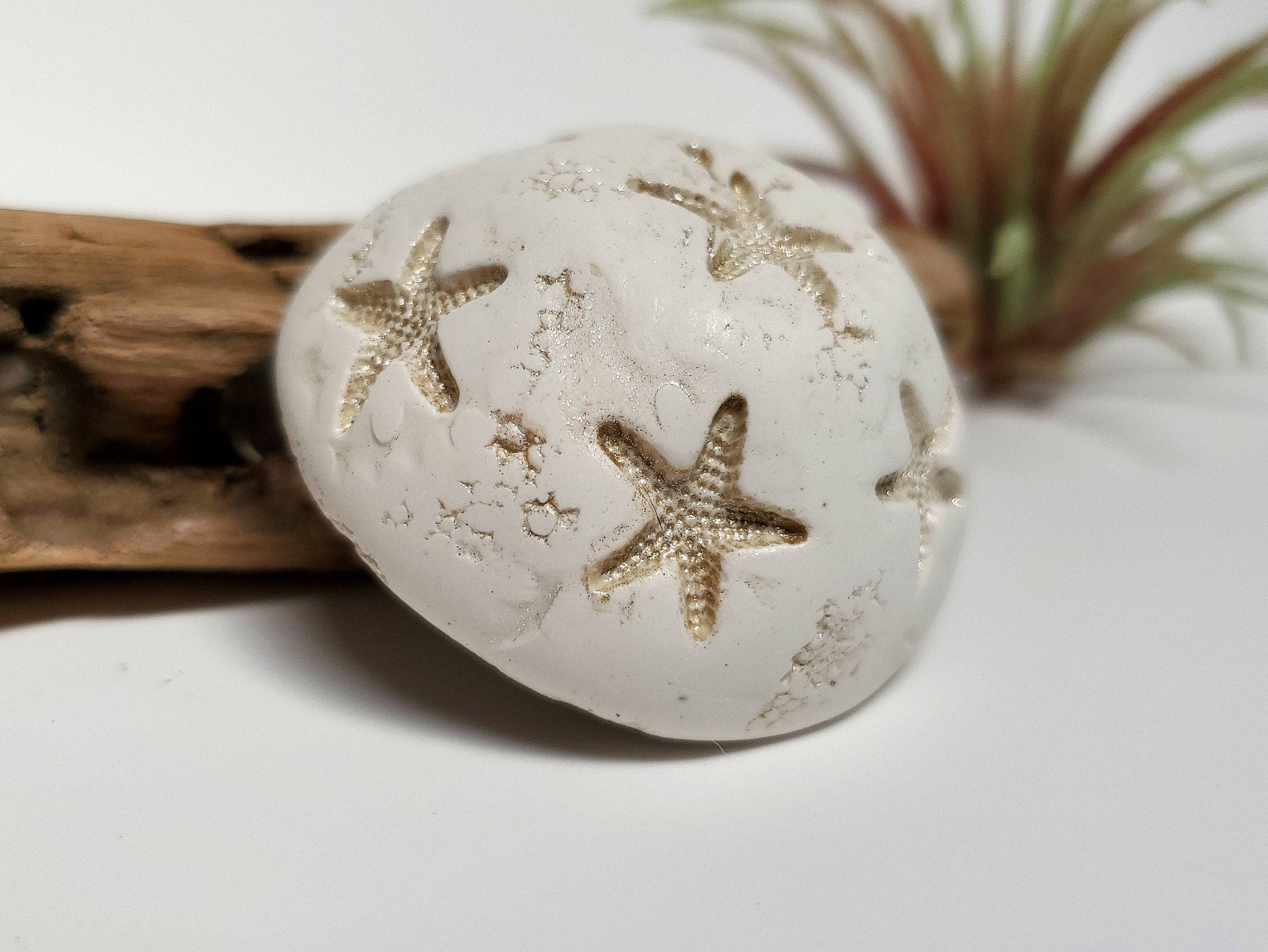 Star Fish Plant Pot - 1-3/4" Succulant Planter - Sea Creature Air Plant ...