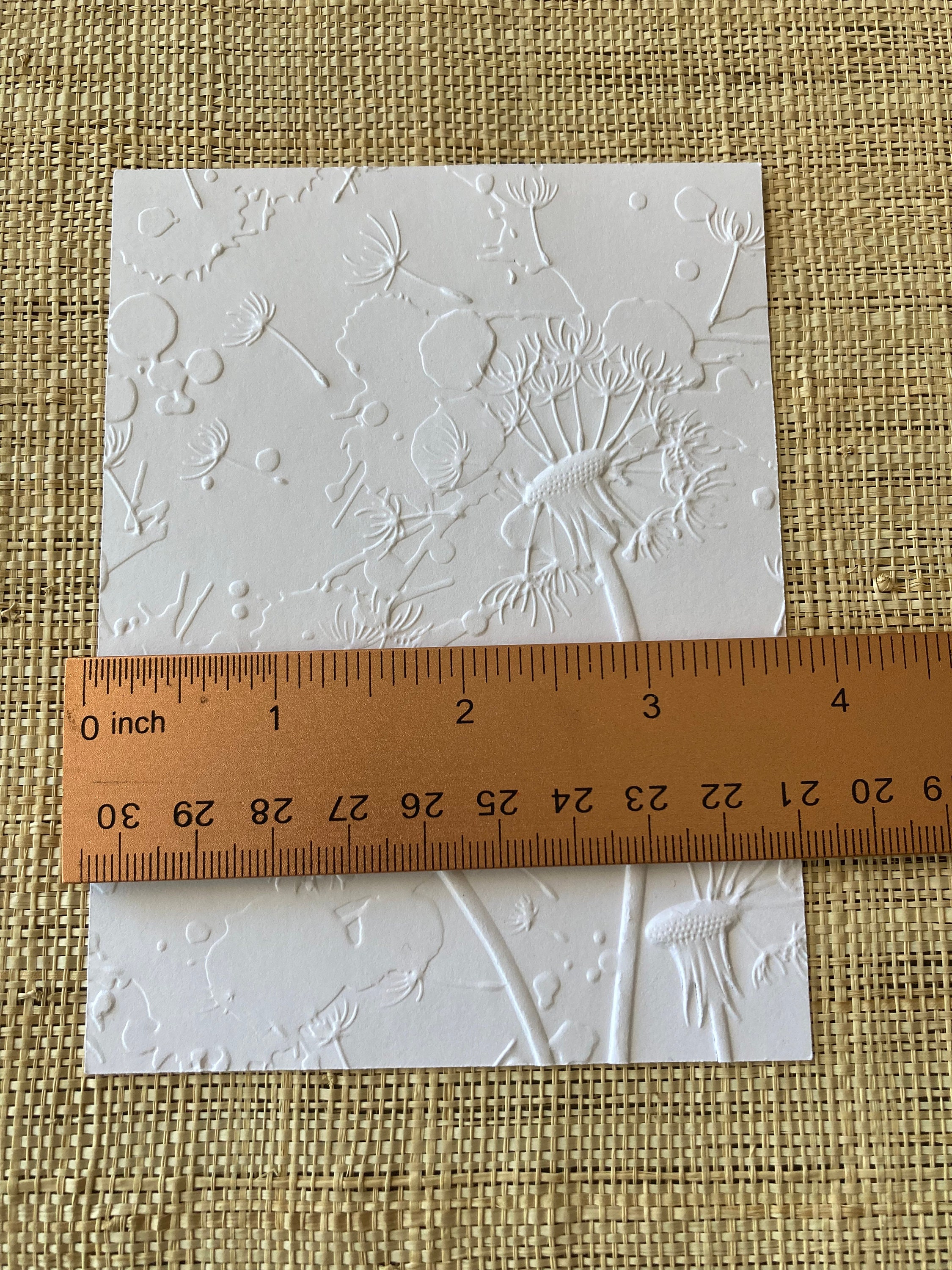 3D Embossed Dandelion Wish Card Front -embossed White Card Stock ...