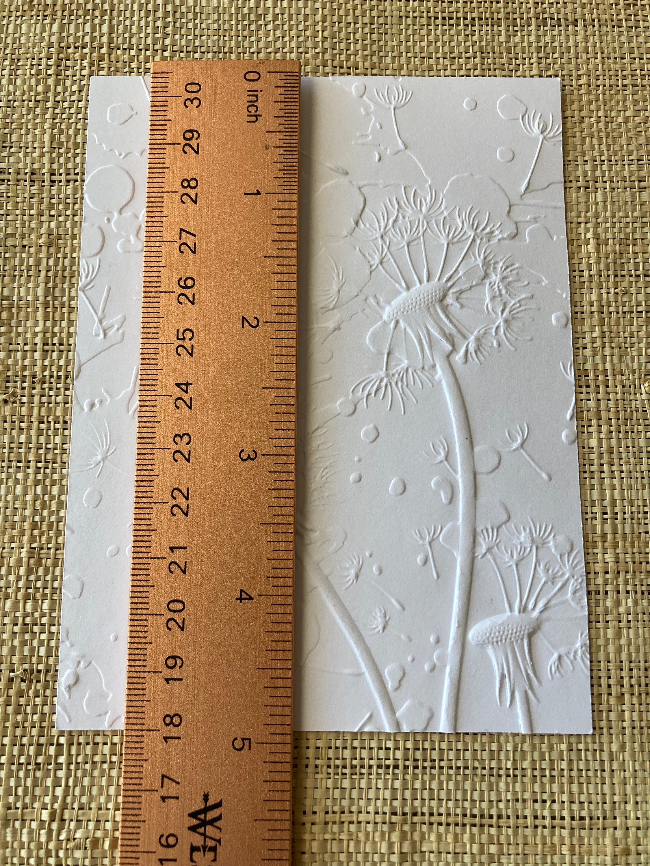 3D Embossed Dandelion Wish Card Front -embossed White Card Stock ...