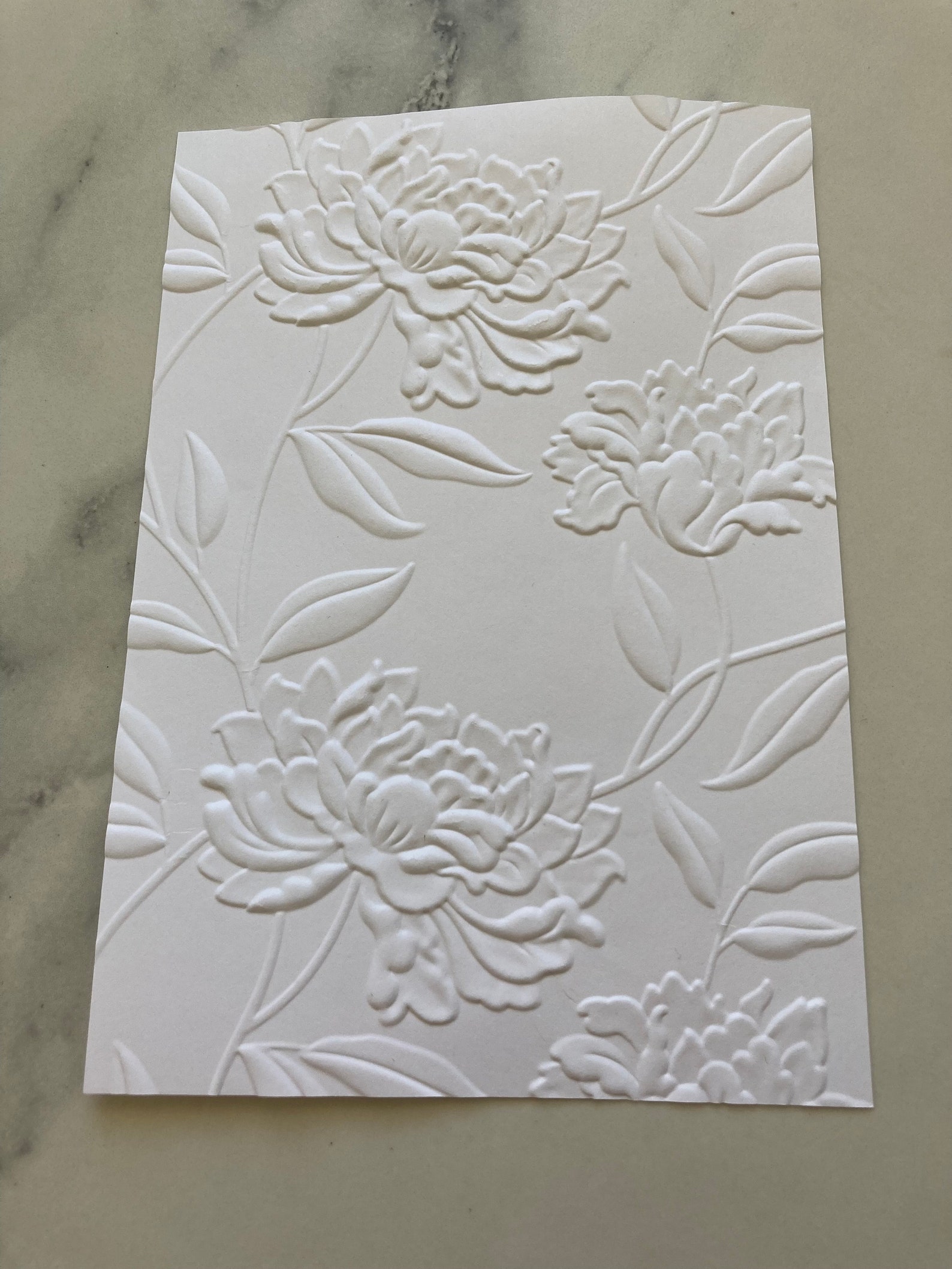 3D Deep Embossed White Beautiful Blooms - White Embossed Card Stock ...