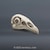 Puma or Mountain Lion Skull Replica museum Quality - Etsy