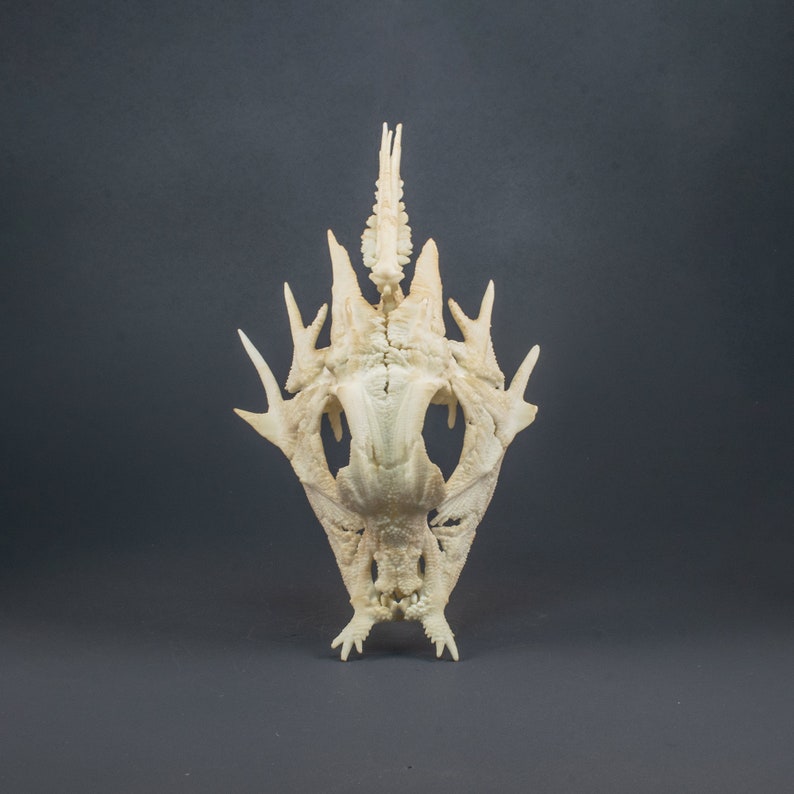 Horned Sea Robin Skull Replica museum Quality - Etsy