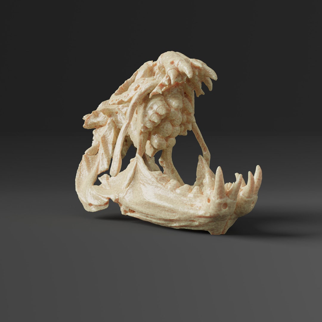 Atlantic Wolf Fish Skull Replica (museum Quality) - Etsy