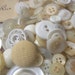 Vintage Buttons - Box of 150+ White Buttons From France - Etsy