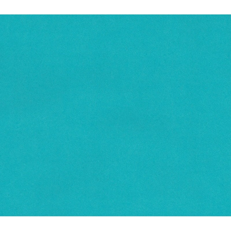 Blue 20 Bpi - RARE Greasy Aqua - Vintage Venetian Glass Seed Beads - Etsy