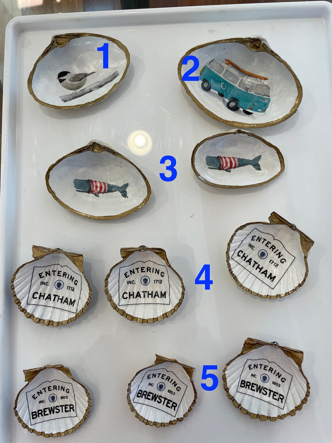 Cape Cod Shells for Small Trinkets or Ornaments - Etsy