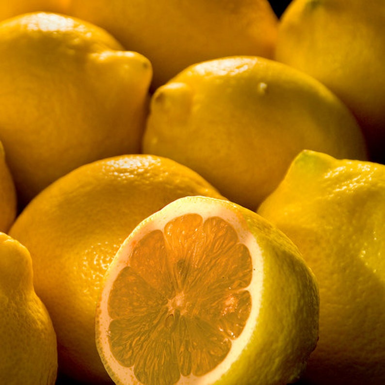 Lemon Drop Clam Shell Break Away Tarts Melts 3oz Summer Fresh Clean - Etsy