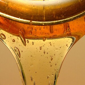 Vermont Maple Syrup Clam Shell Break Away Tarts Melts 3oz - Etsy