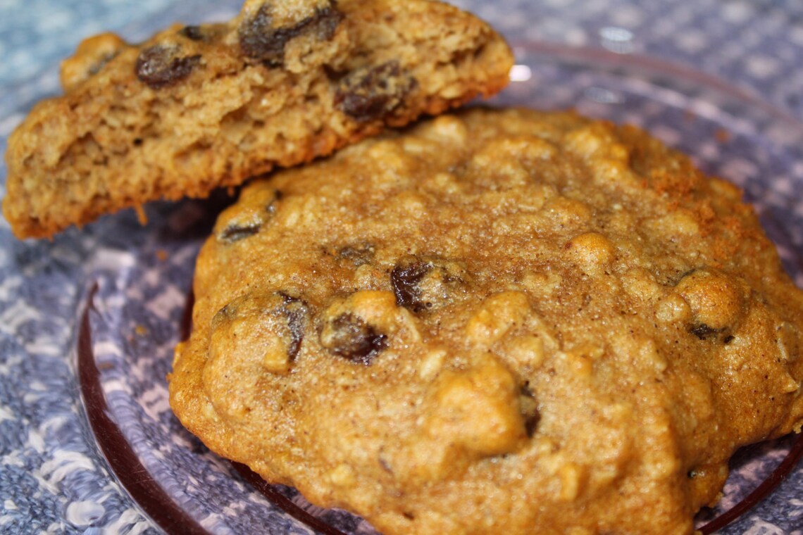 Oatmeal Raisin Cookie Clam Shell Break Away Tarts Melts 3oz - Etsy