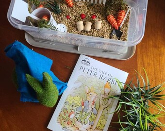 Peter Rabbit Playset - Etsy