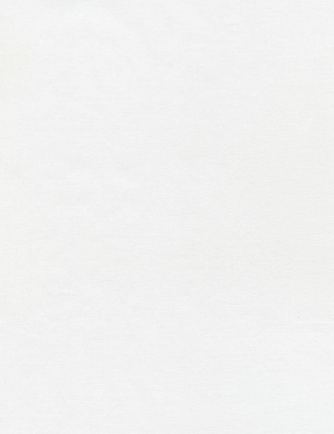 White Batik Fabric by Tonga for Timeless Treasures, White Batik Basics ...