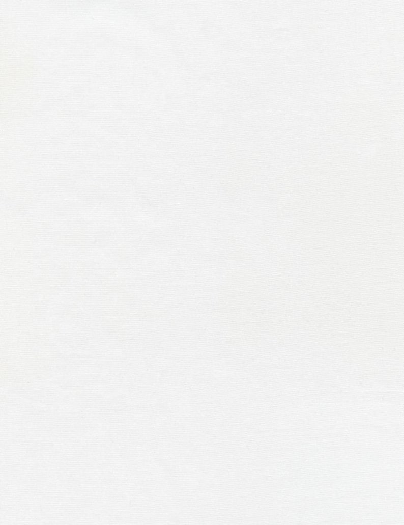 White Batik Fabric by Tonga for Timeless Treasures White - Etsy