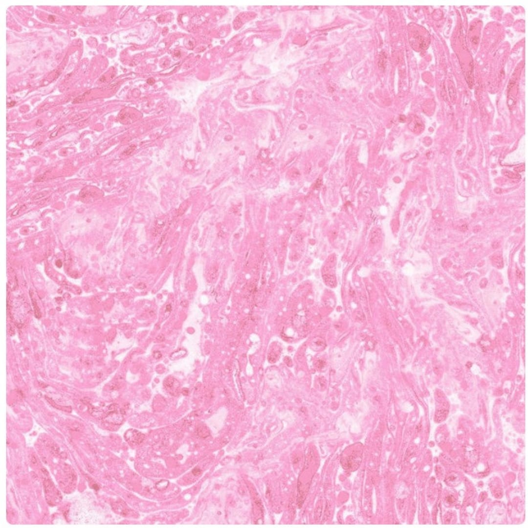 Pink Fabric by the Yard, Pink Marble Fabric, Pink Cotton Fabric, Pink ...