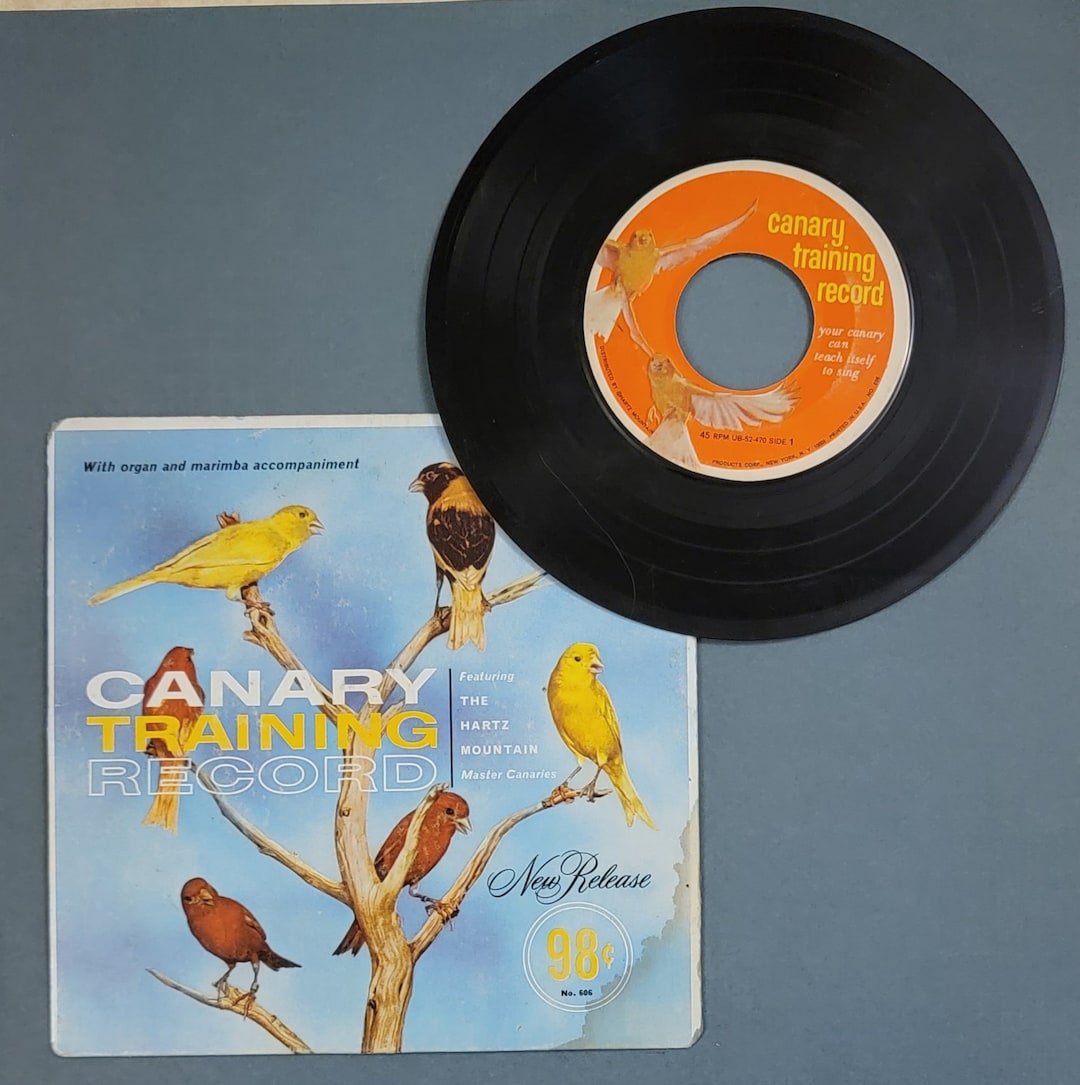 Vintage Hartz Canary Training Record 45 RPM - Etsy