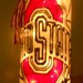 Ohio State Inspired Bottle Lamp, Bottle Light Hand Painted Lighted ...