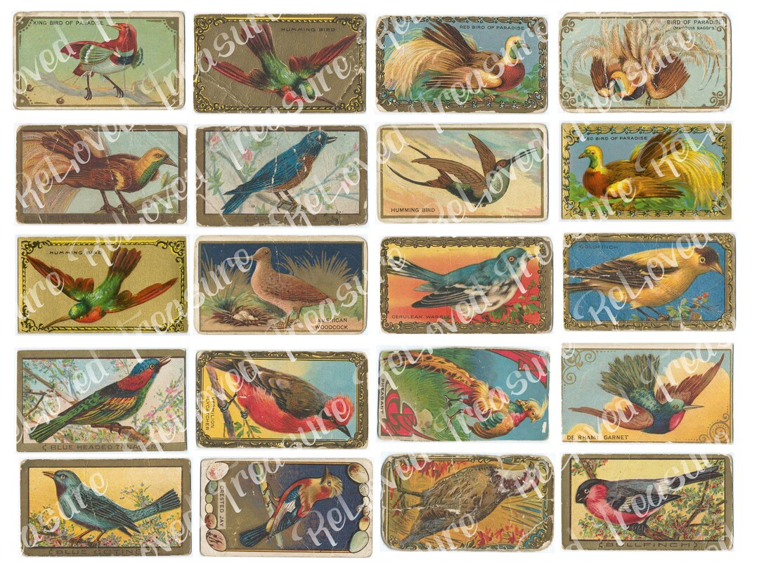 Vintage Bird Tea Cards, Tea Cards for Journaling, Vintage Tea Cards ...
