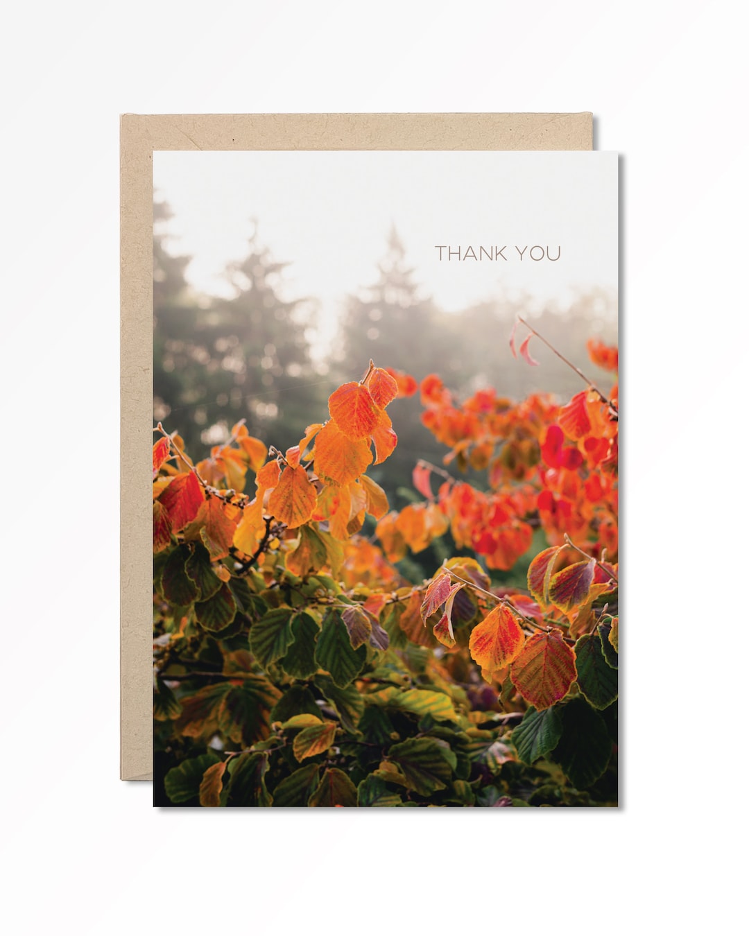 Thank You Card, Thank You Nature Card, Gratitude Card, Autumn Leaves ...