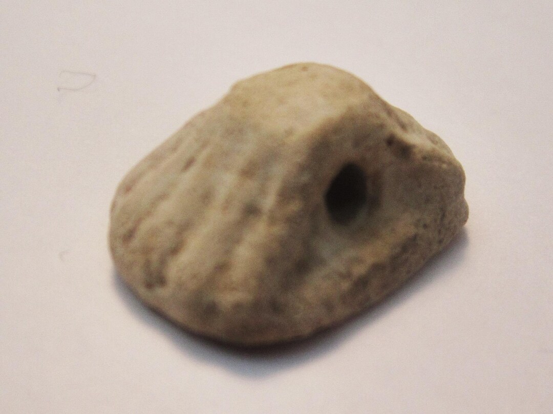 Ancient Egyptian Scaraboid Paste Bead Amulet Hieroglyphs Late Period ...