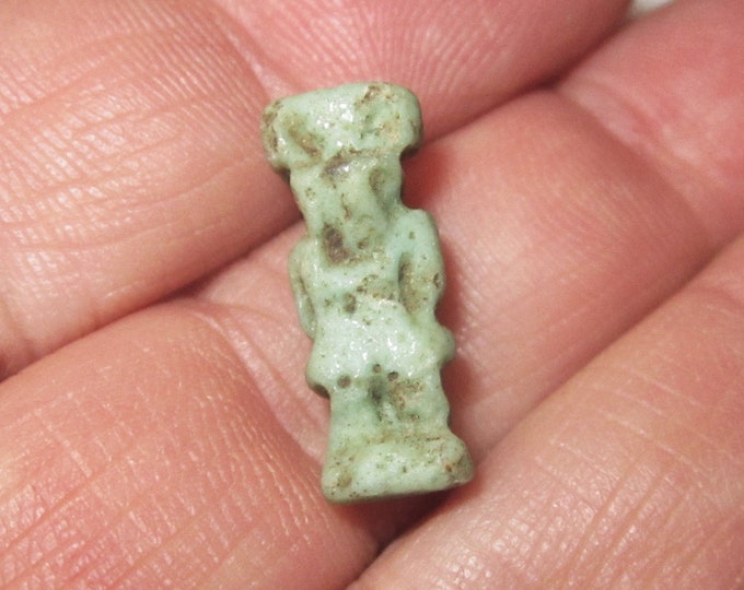 Pataxte Theobroma Bicolor White Cacao Macombo Balam-te Jaguar Tree ...