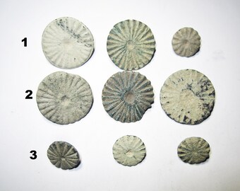 Colonial Buttons - Etsy