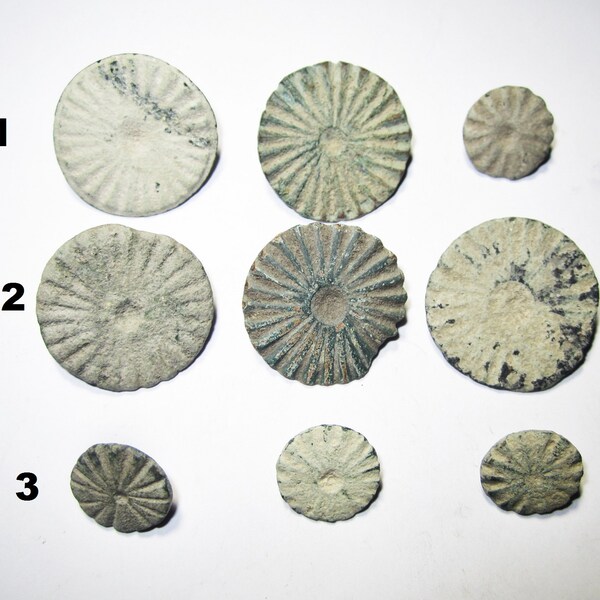 Colonial Buttons - Etsy