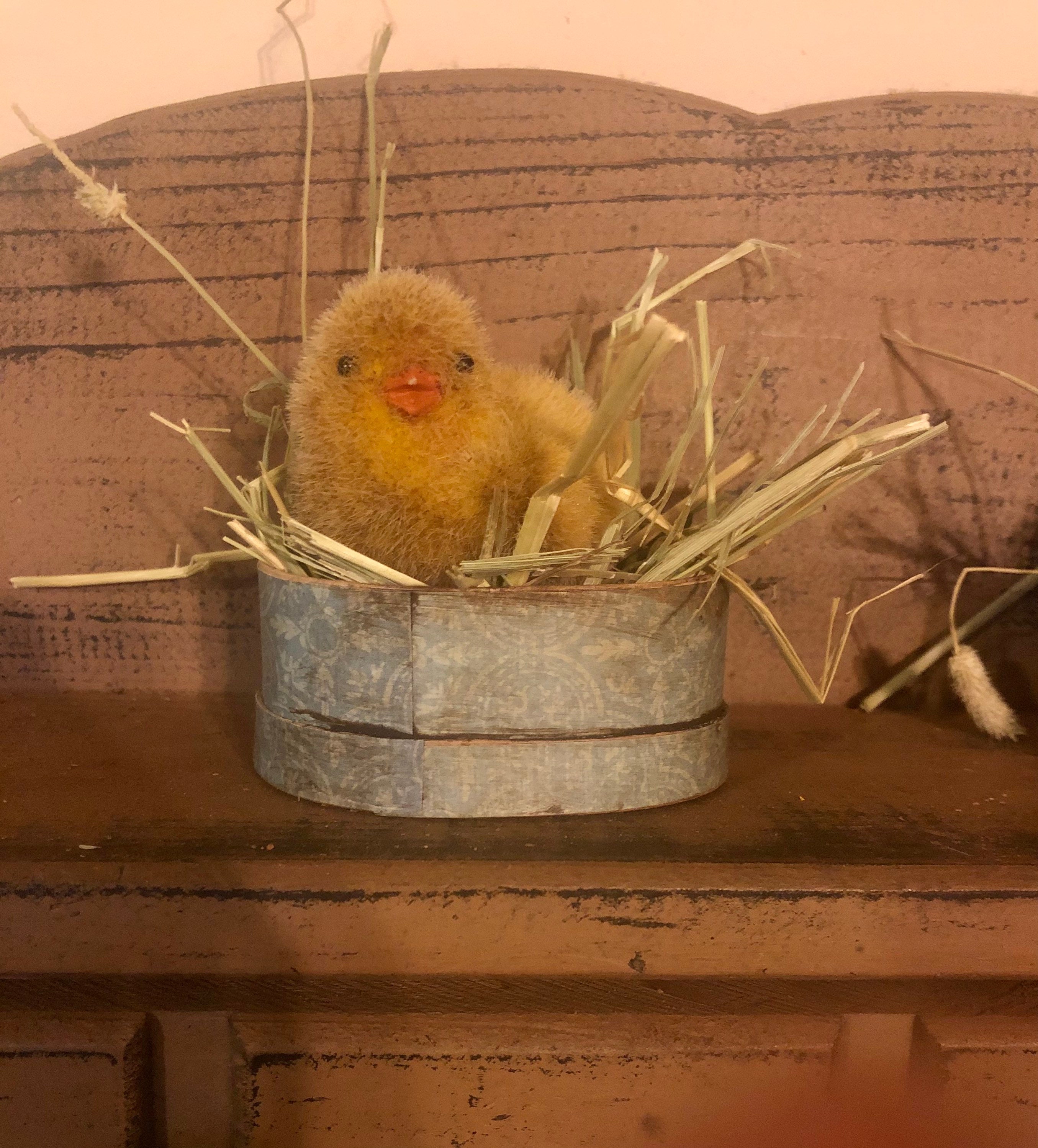 primitive Chick in box with grass